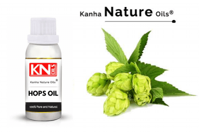 HOPS OIL - KANHA NATURE OILS (Natural Essential OIl manufacturer)