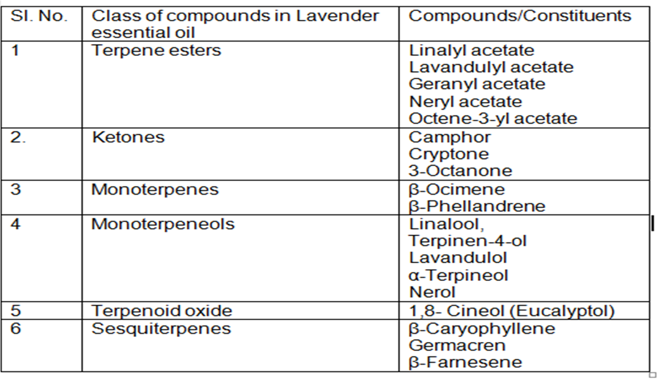 LAVENDER OIL - KANHA NATURE OILS (Essential oil manufacturer)